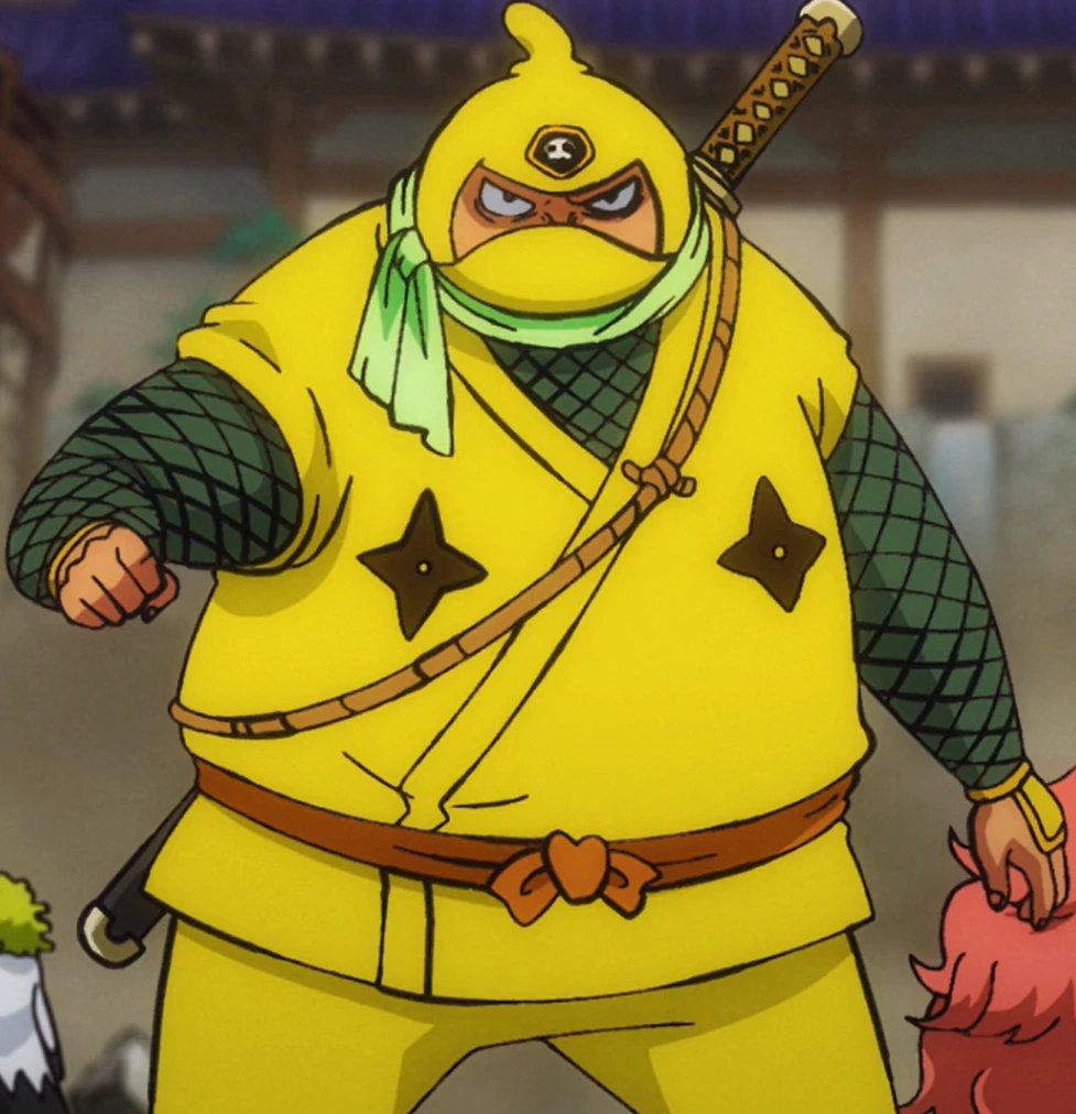 Hanzo | One Piece Wiki | Fandom