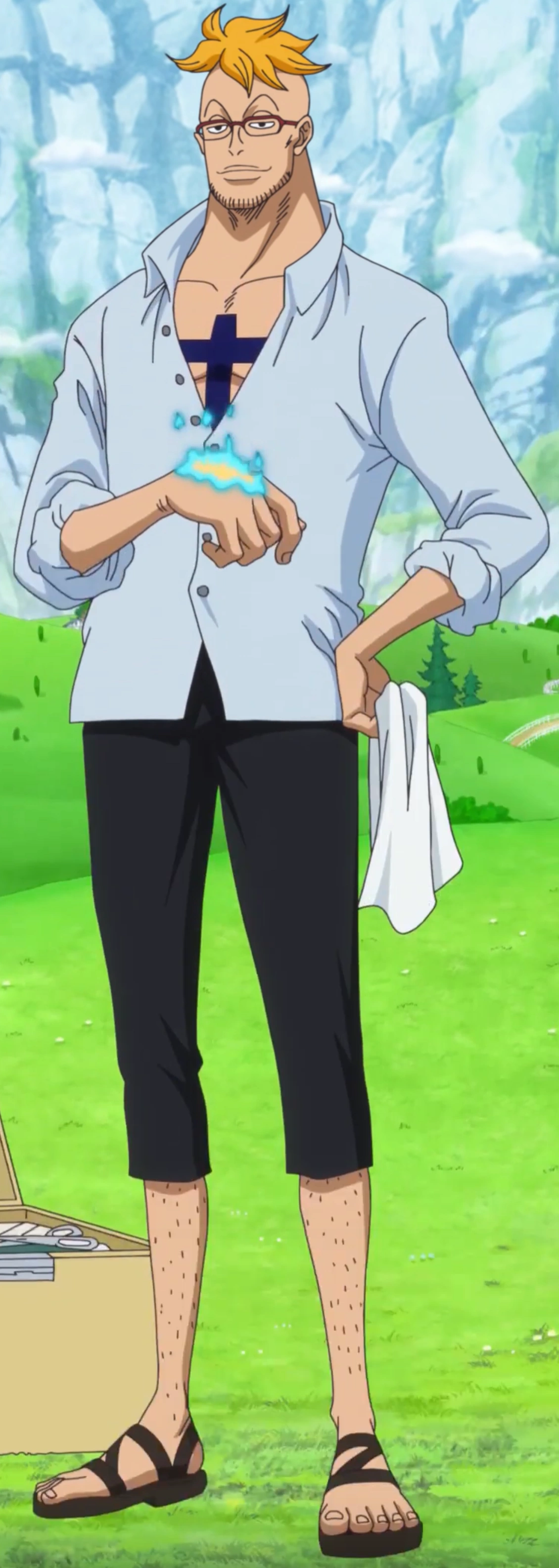 Marco | One Piece Wiki | Fandom