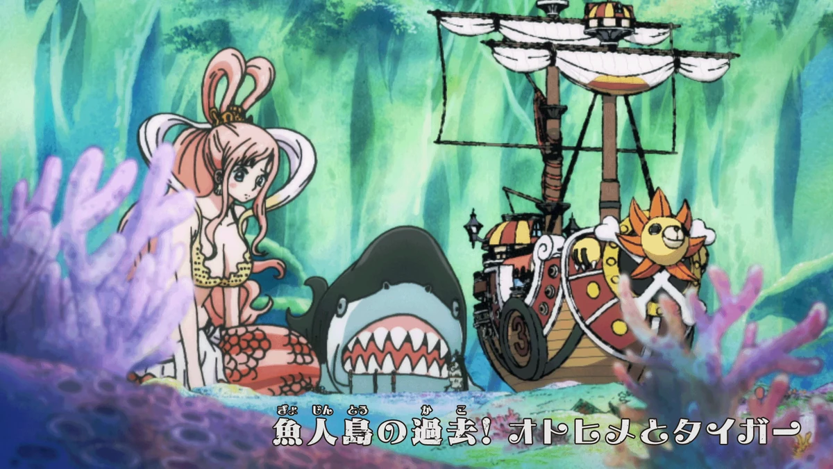 Episode 12 (Special Edited Version) | One Piece Wiki | Fandom