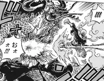 Monkey D. Luffy/History/Wano | One Piece Wiki | Fandom
