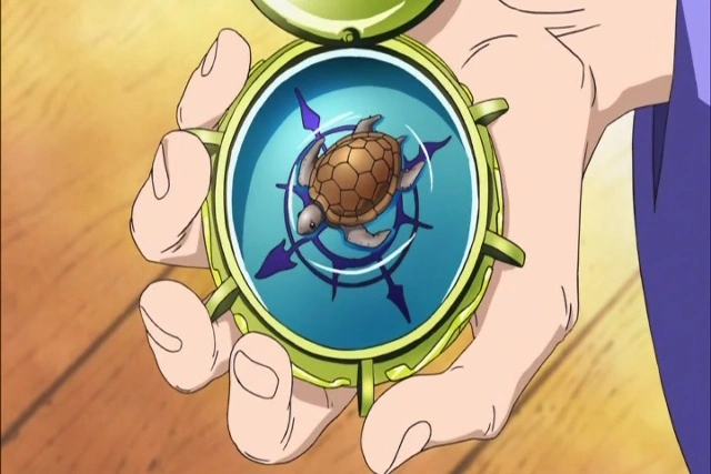 Pose Tortuga | One Piece Wiki | Fandom