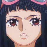 Ahiru | One Piece Wiki | Fandom