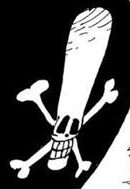 Space Pirates | One Piece Wiki | Fandom
