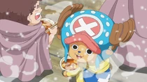 Tony Tony Chopper/History/During and After the Timeskip | One Piece ...