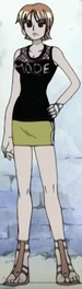 Nami | One Piece Wiki | Fandom