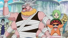 Hatchan | One Piece Wiki | Fandom