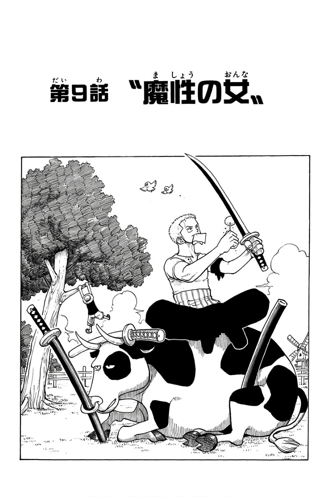 Capítulo 9 | One Piece Wiki | Fandom