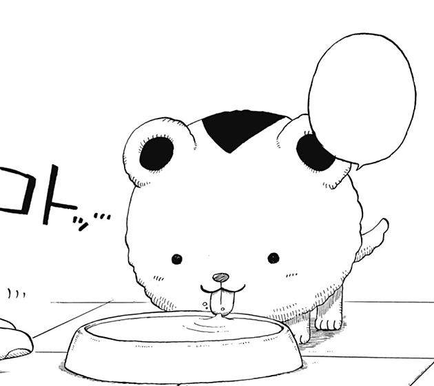Onigiri (no canon) | One Piece Wiki | Fandom