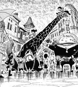 Fukuro | One Piece Wiki Italia | Fandom