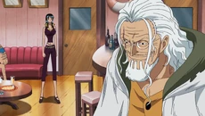 Silvers Rayleigh | One Piece Wiki | Fandom