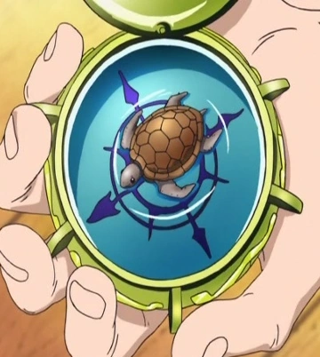 Kame Pose | One Piece Wiki Italia | Fandom