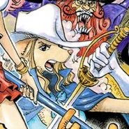 Wanda | One Piece Wiki | Fandom