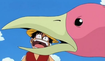 Pinky | One Piece Wiki | Fandom