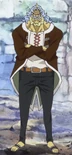 Hack (Homem-Peixe) | One Piece Wiki | Fandom
