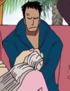 Hewitt | One Piece Wiki | Fandom