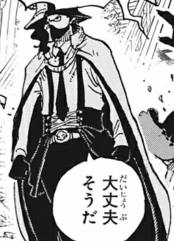 Page One | One Piece Wiki | Fandom