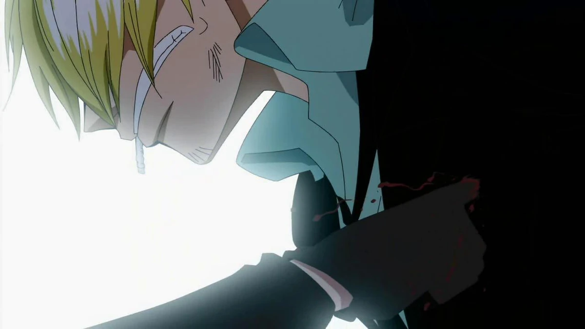 Shigan | OnePiecePedia | Fandom