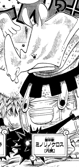 Minorhinoceros | One Piece Wiki | Fandom