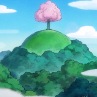 Kuri | One Piece Wiki | Fandom