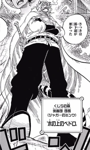 Pedro | One Piece Encyclopédie | Fandom