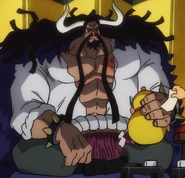 Kaidou | One Piece Wiki | Fandom