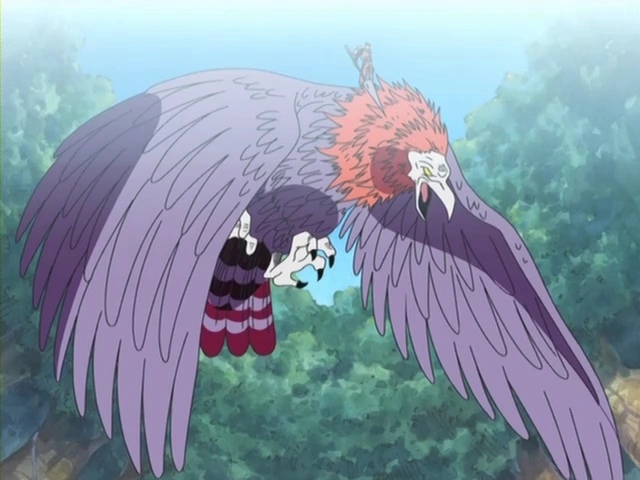 Fuza | One Piece Wiki | Fandom