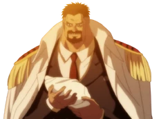 Monkey D. Garp | One Piece Wiki | Fandom