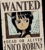 Nico Robin/Historia | One Piece Wiki | Fandom