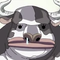 Zoo Zoo | One Piece Wiki Italia | Fandom