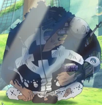 Cyborgs | One Piece Wiki | Fandom