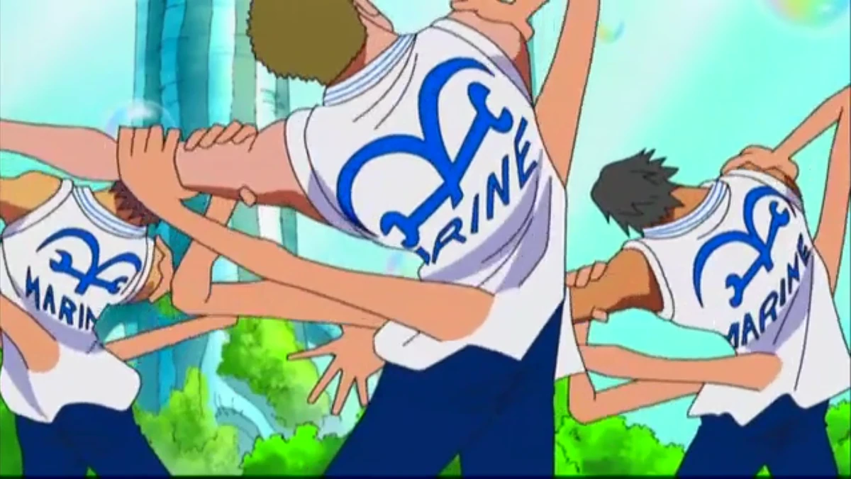 Nueve fleur | One Piece Wiki | Fandom