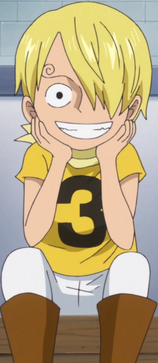 Sanji/Gallery | One Piece Wiki | Fandom