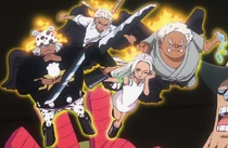 Seraphim | One Piece Wiki | Fandom