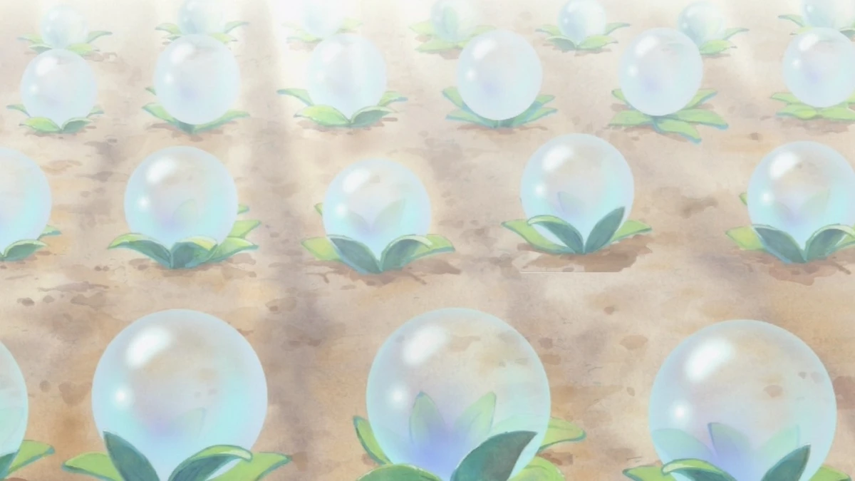 Weather Ball | One Piece Wiki | Fandom