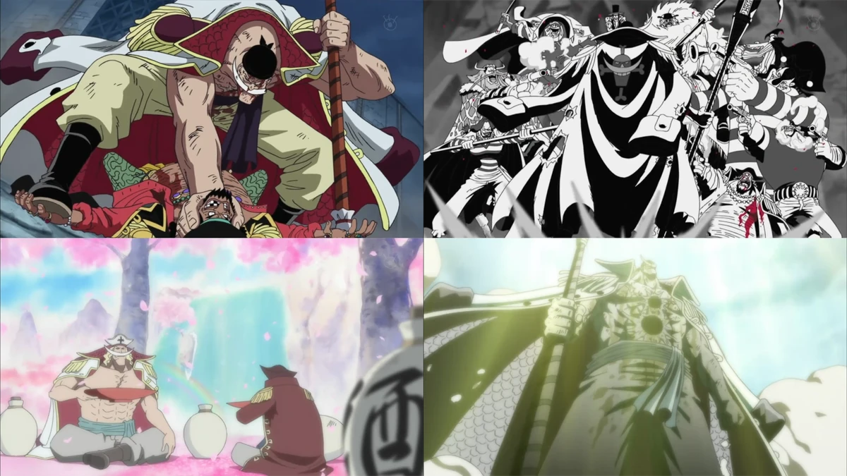 Episodio 485: Un lungo addio | One Piece Wiki Italia | Fandom