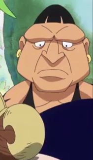 Bomba | One Piece Wiki | Fandom