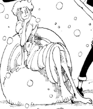 Snow Queen | One Piece Wiki | Fandom