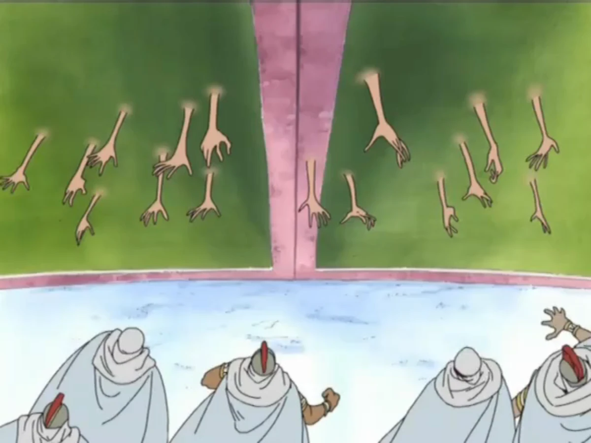 Dieciséis fleur | One Piece Wiki | Fandom