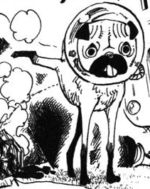 Saru | One Piece Encyclopédie | Fandom