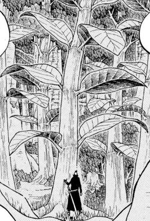 Árbol Kona | One Piece Wiki | Fandom