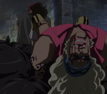 Gambia | One Piece Wiki | Fandom