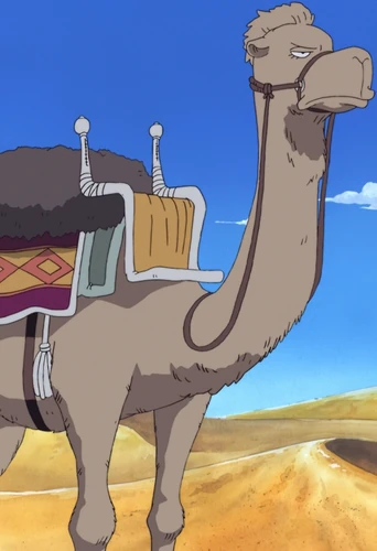 Matsuge | One Piece Wiki | Fandom