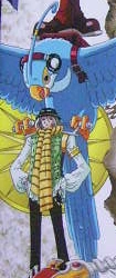Simurgh | One Piece Wiki | Fandom