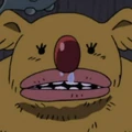 Дьявольский плод | One Piece Wiki | Fandom