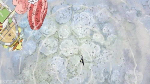 Sky walk | One Piece Wiki | Fandom