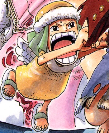 Aisa | One Piece Wiki | Fandom