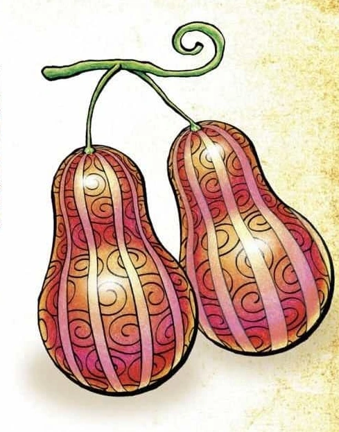 Mimo Mimo | One Piece Wiki Italia | Fandom