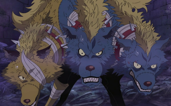 Cerberus | One Piece Wiki | Fandom