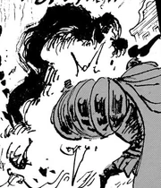 Ganzui | One Piece Wiki | Fandom