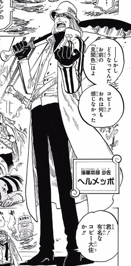 Helmeppo | One Piece Wiki | Fandom